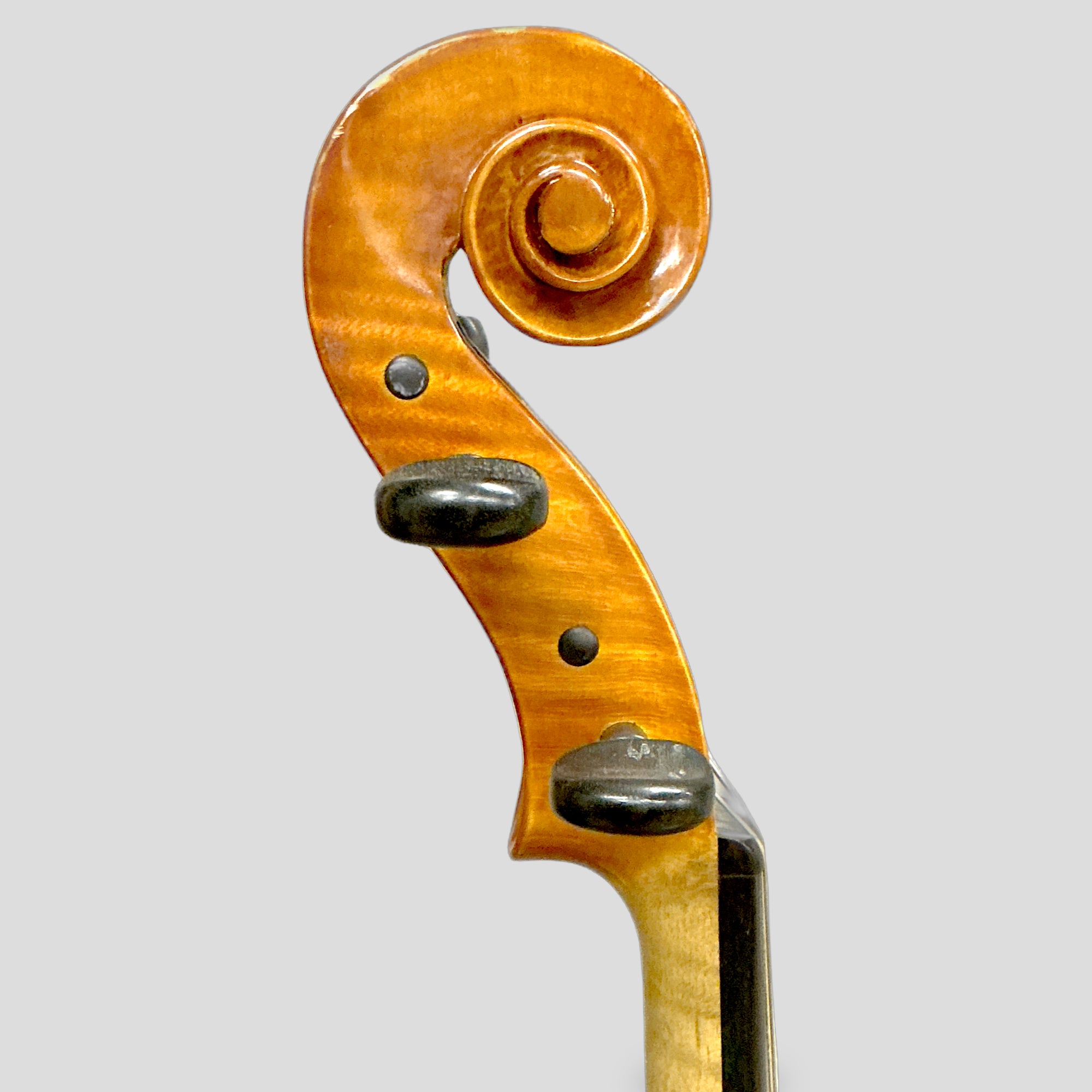 Viola : Hiroshi Shigeno Japan 1988 | l'atelier by apc